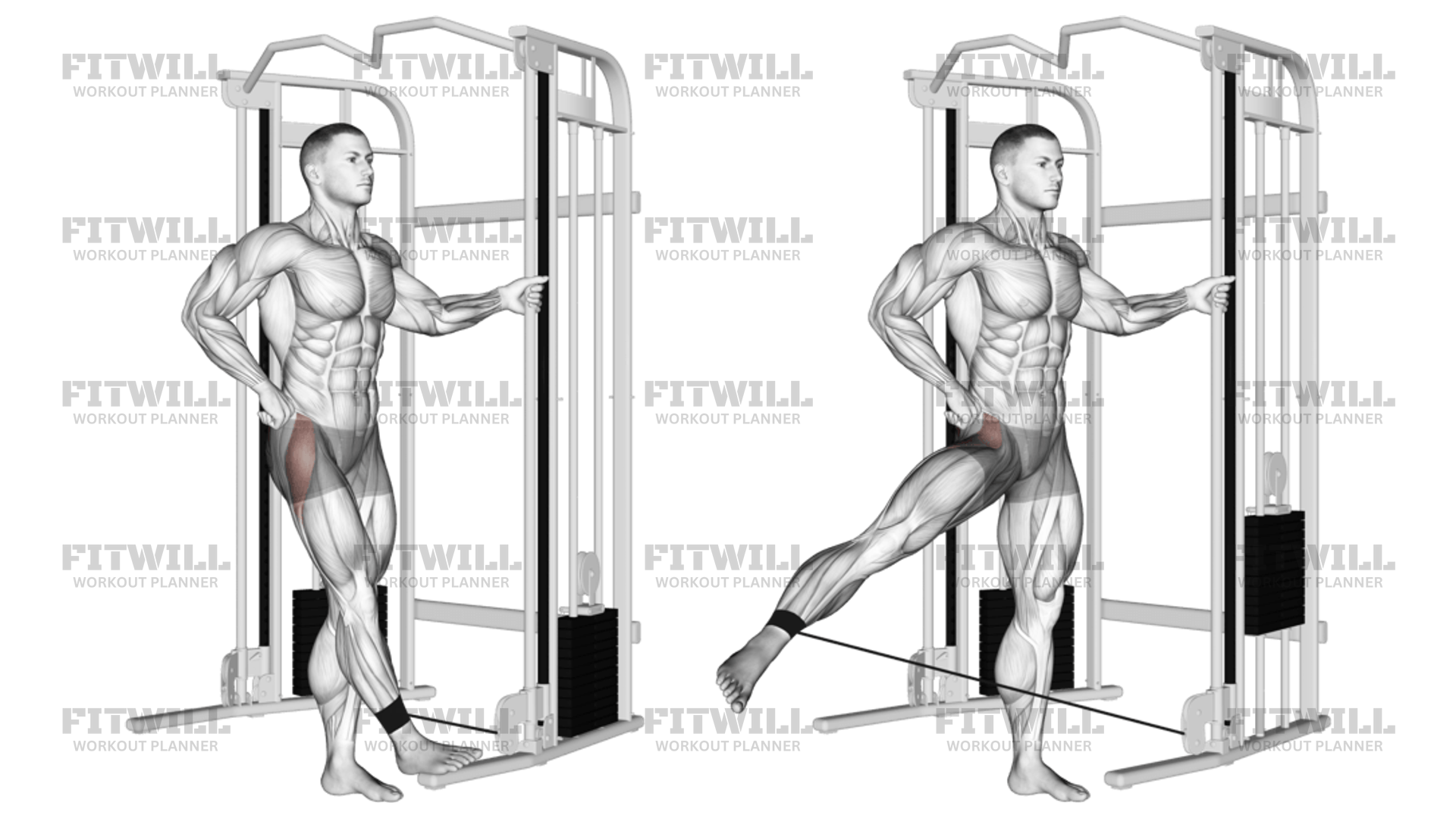 Cable Hip Abduction (version 2): Exercise Guide, Video, Techniques, Benefits, How to, Muscles ...