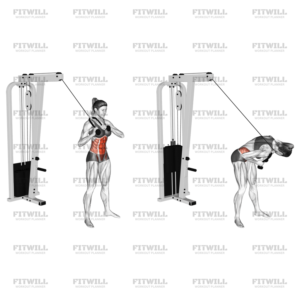 Cable Judo Flip: Exercise Guide, Video, Techniques, Benefits, How to ...