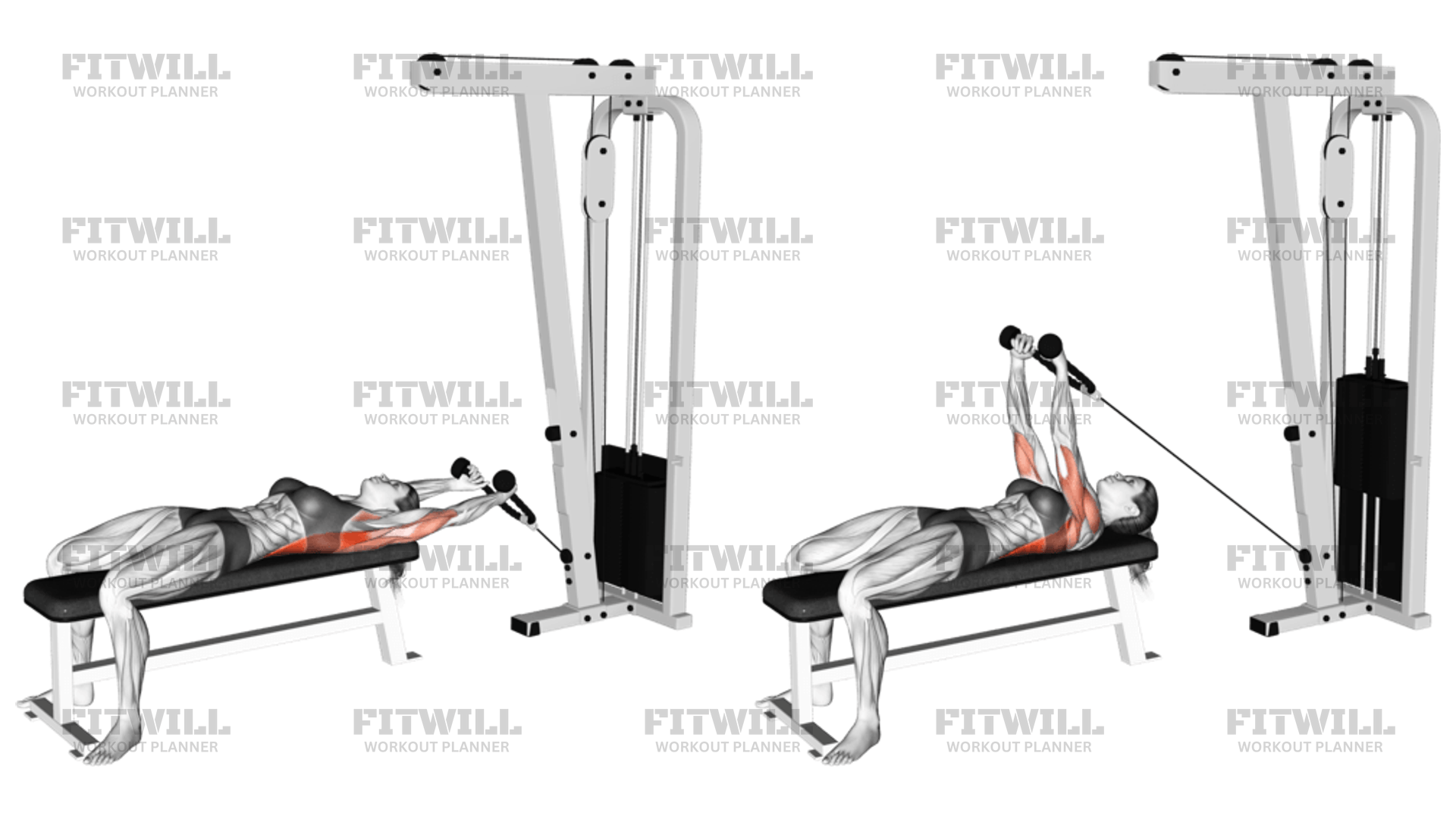 Extensión En Polea Acostado Con Cuerda: Guía de Ejercicios, Técnicas ...