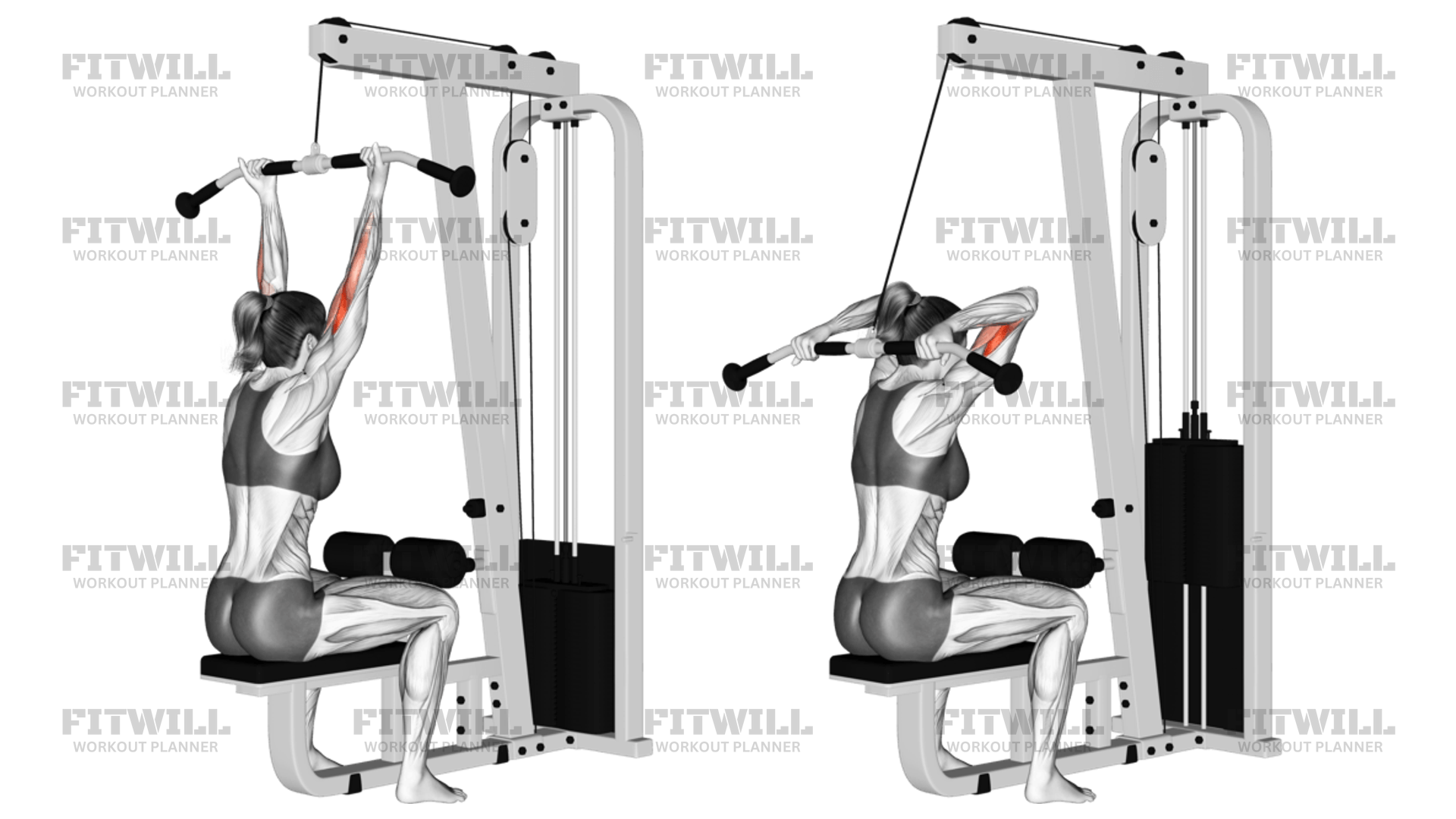 Cable Pulldown Bicep Curl: Exercise Guide, Techniques, Benefits, How to ...