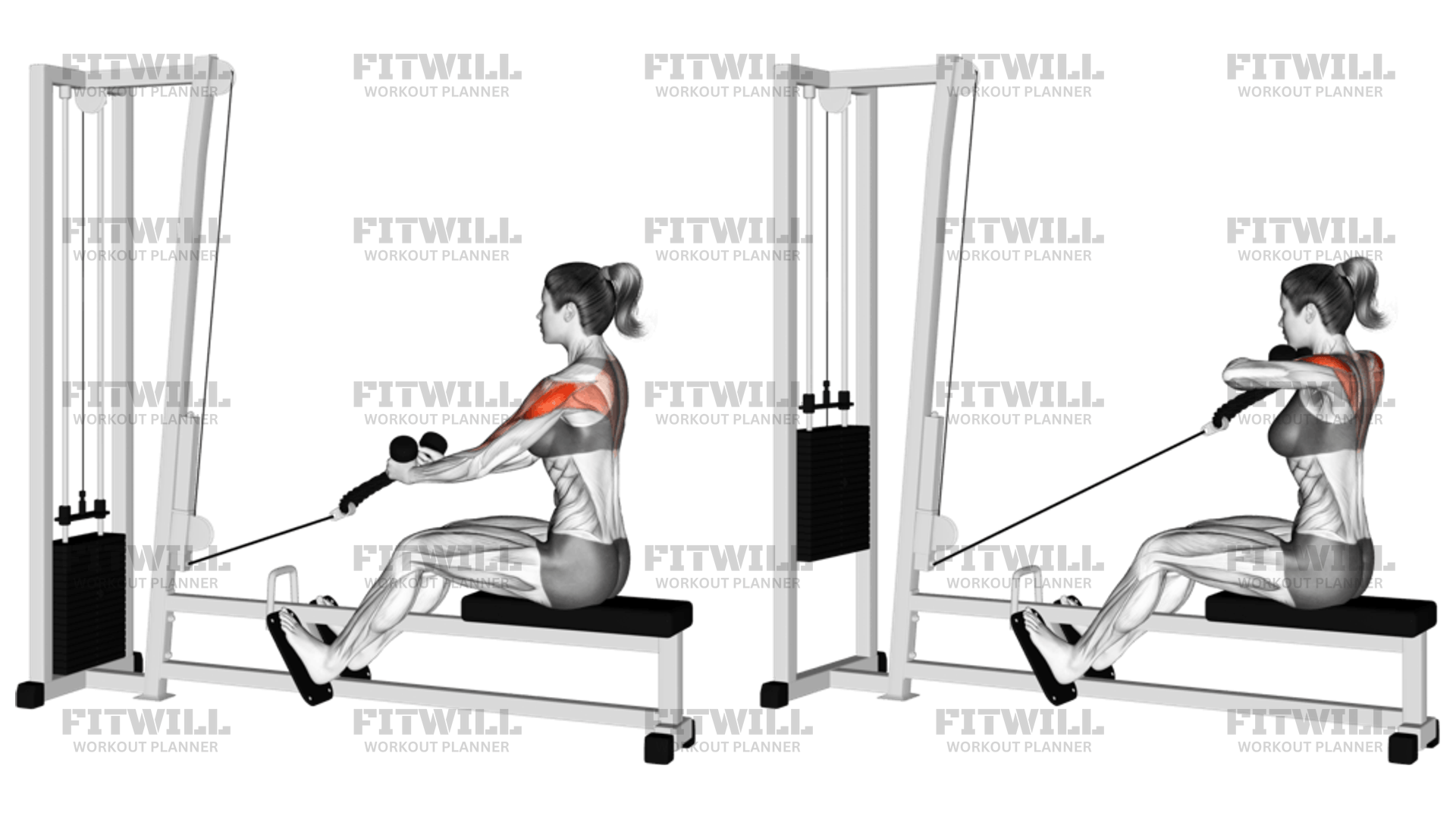 Cable Rear Delt Row (stirrups): Exercise Guide, Techniques, Benefits ...