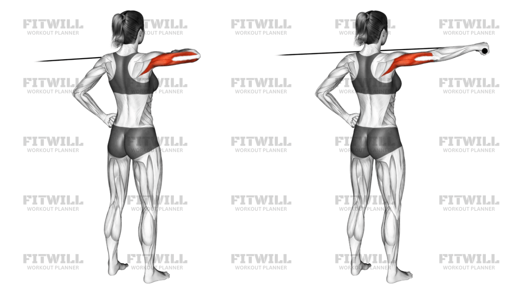 Cable Rear Drive: Exercise Guide, Techniques, Benefits, How to, Muscles ...
