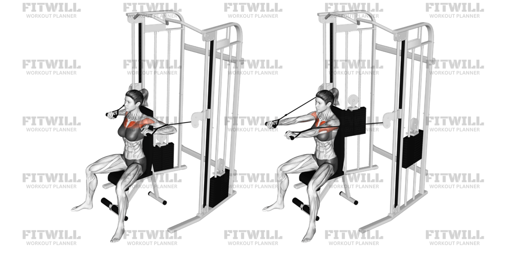 Cable Seated Chest Press: Exercise Guide, Techniques, Benefits, How to ...