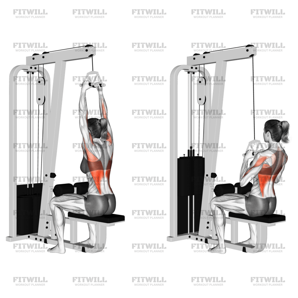Cable Seated High Row (V Bar): Exercise Guide, Video, Techniques ...