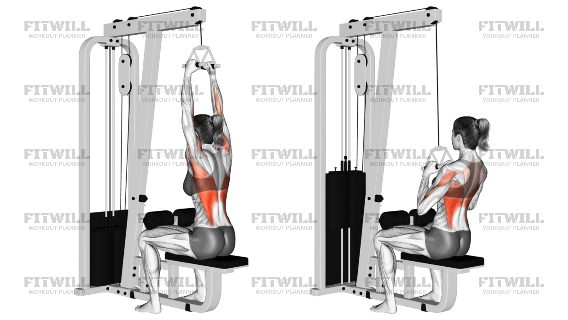 Cable Seated High Row (V Bar): Exercise Guide, Video, Techniques ...