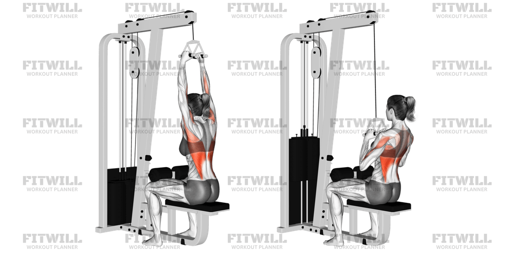 Cable Seated High Row (V Bar): Exercise Guide, Video, Techniques ...