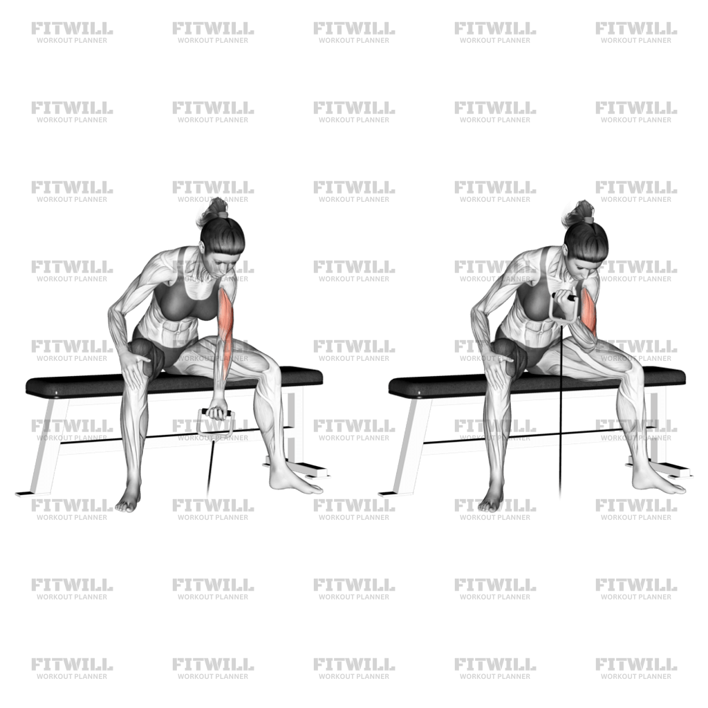 Cable Seated One Arm Concentration Curl Exercise Guide Techniques Benefits How To Muscles