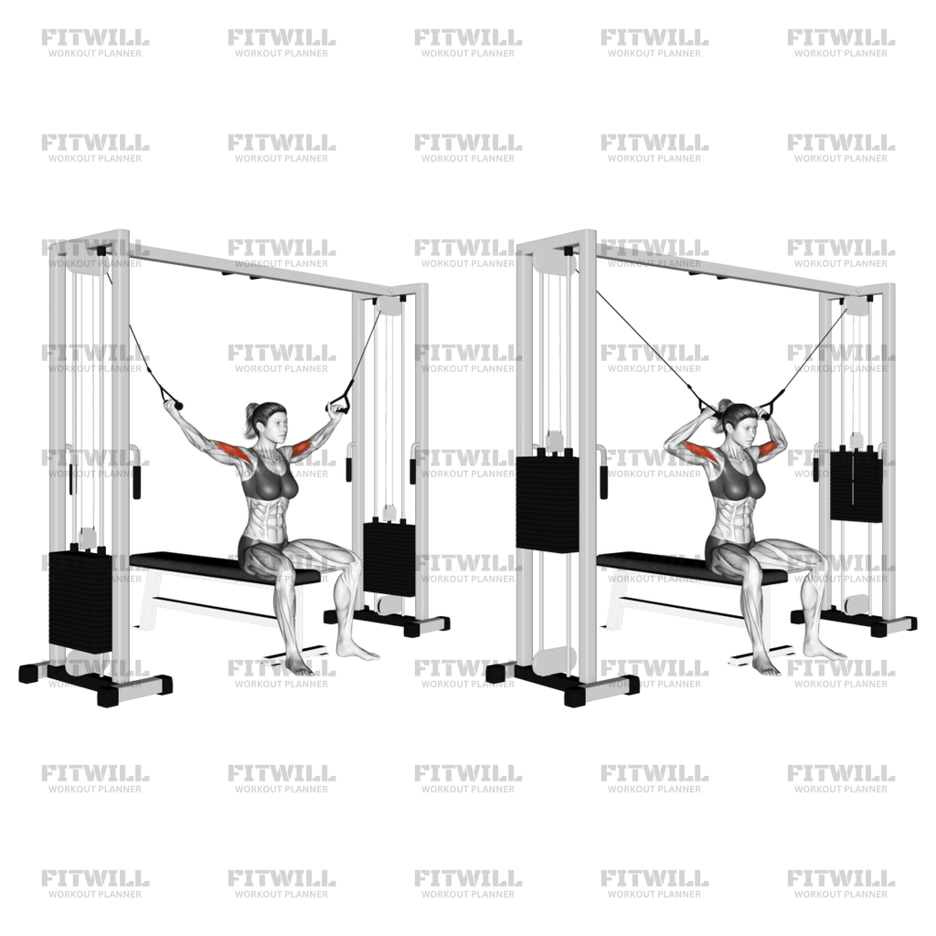 Cable Seated Overhead Curl: Exercise Guide, Techniques, Benefits, How ...