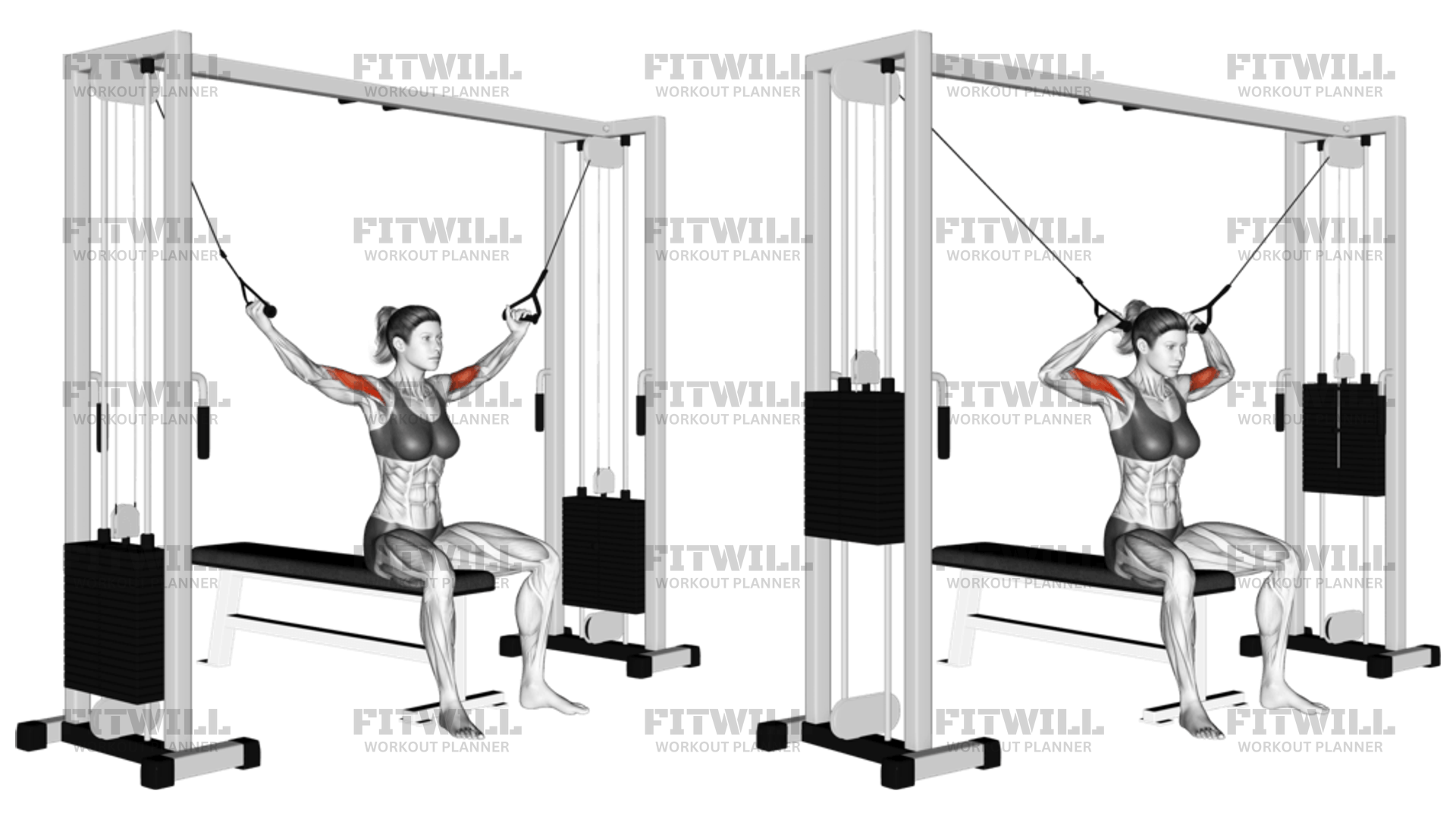 Rosca Sentado Com Cabo Acima Da Cabeça: Guia de Exercícios, Técnicas ...