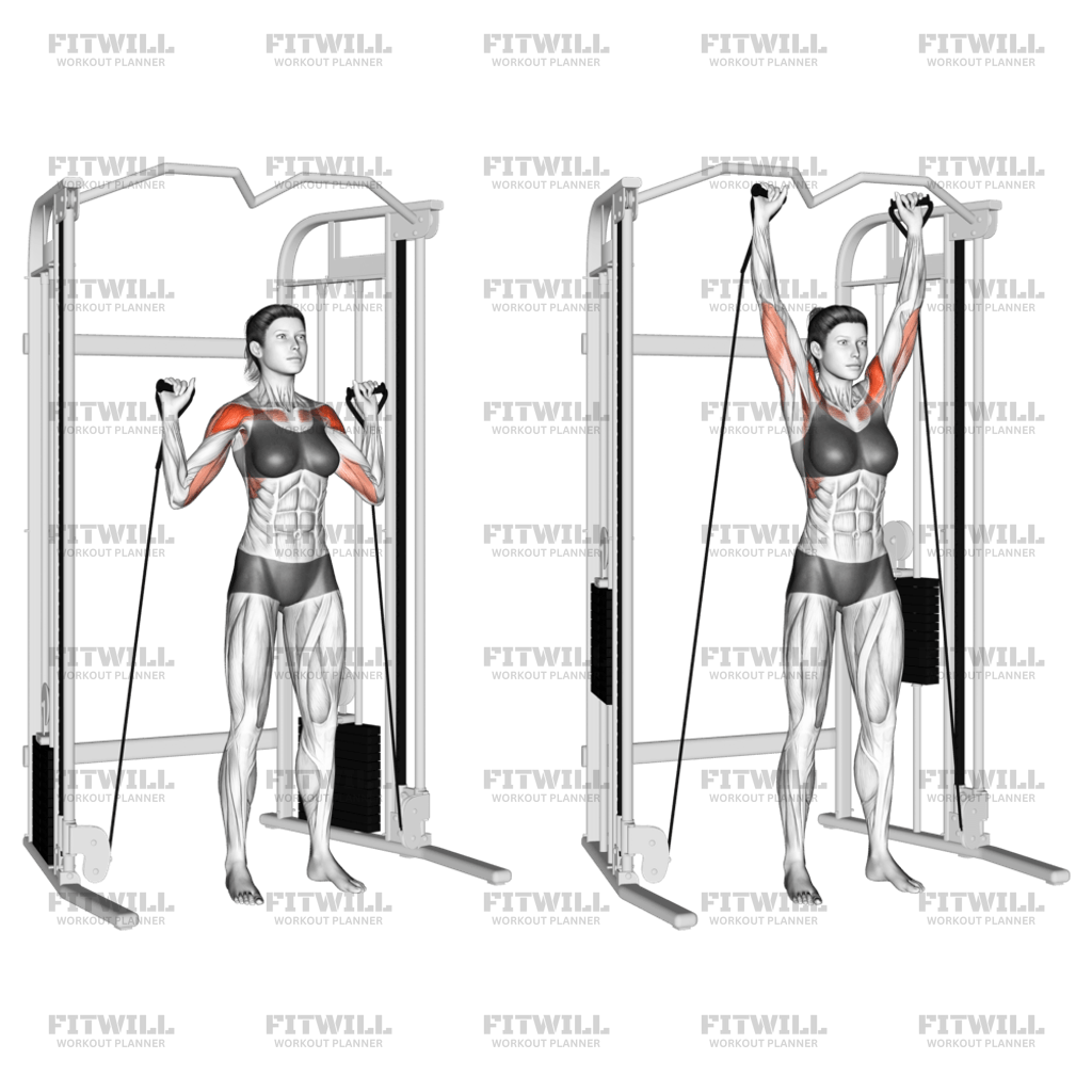 Cable Shoulder Press: Exercise Guide, Techniques, Benefits, How to ...