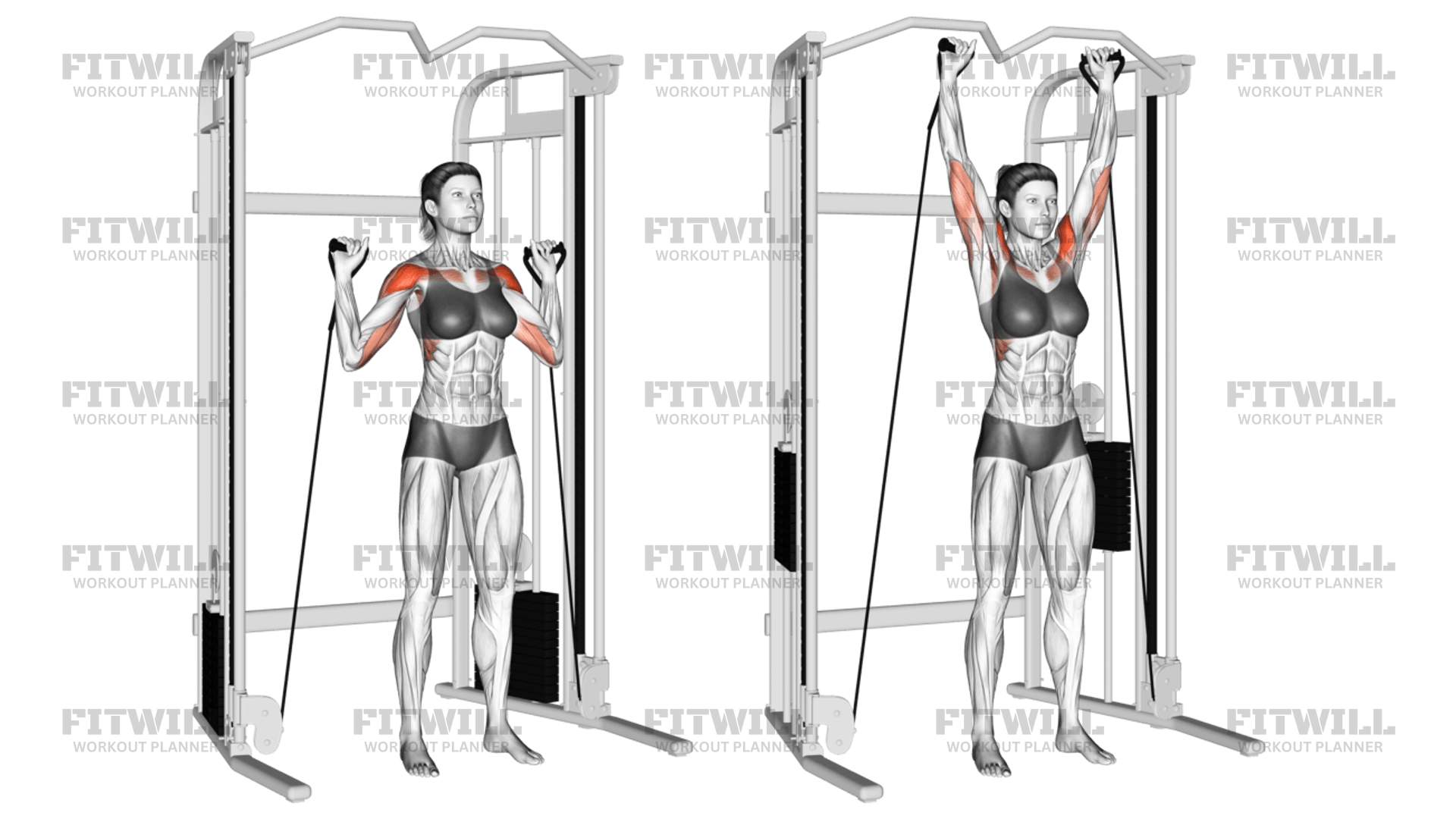 Cable Shoulder Press: Exercise Guide, Techniques, Benefits, How to ...