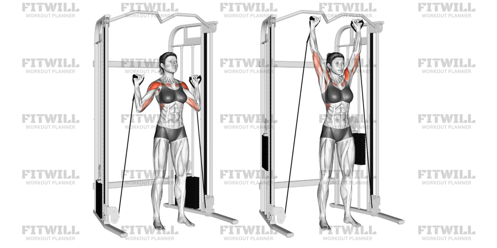 Cable Shoulder Press: Exercise Guide, Techniques, Benefits, How to ...
