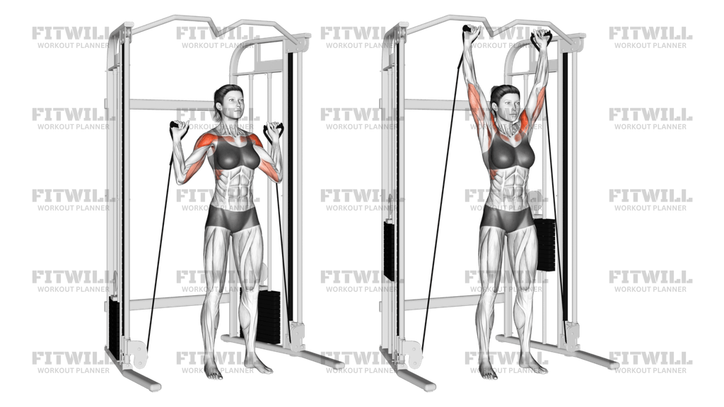 Cable Shoulder Press: Exercise Guide, Techniques, Benefits, How to ...