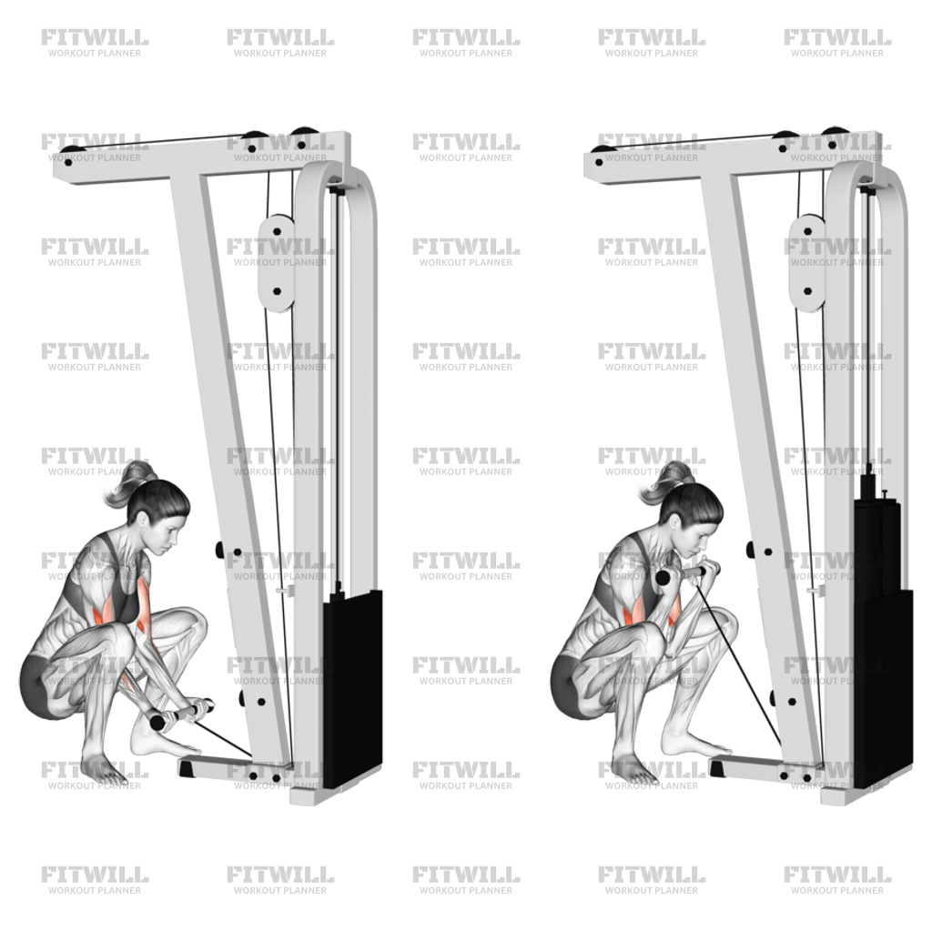 Cable Squatting Curl Exercise Guide Techniques Benefits How To Muscles Worked Tips