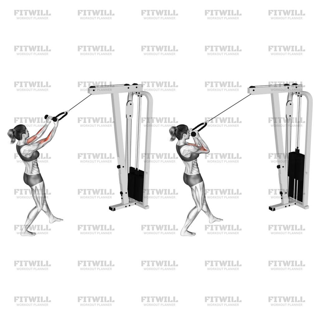 Cable Standing Biceps Curl (with Rope): Exercise Guide, Techniques ...