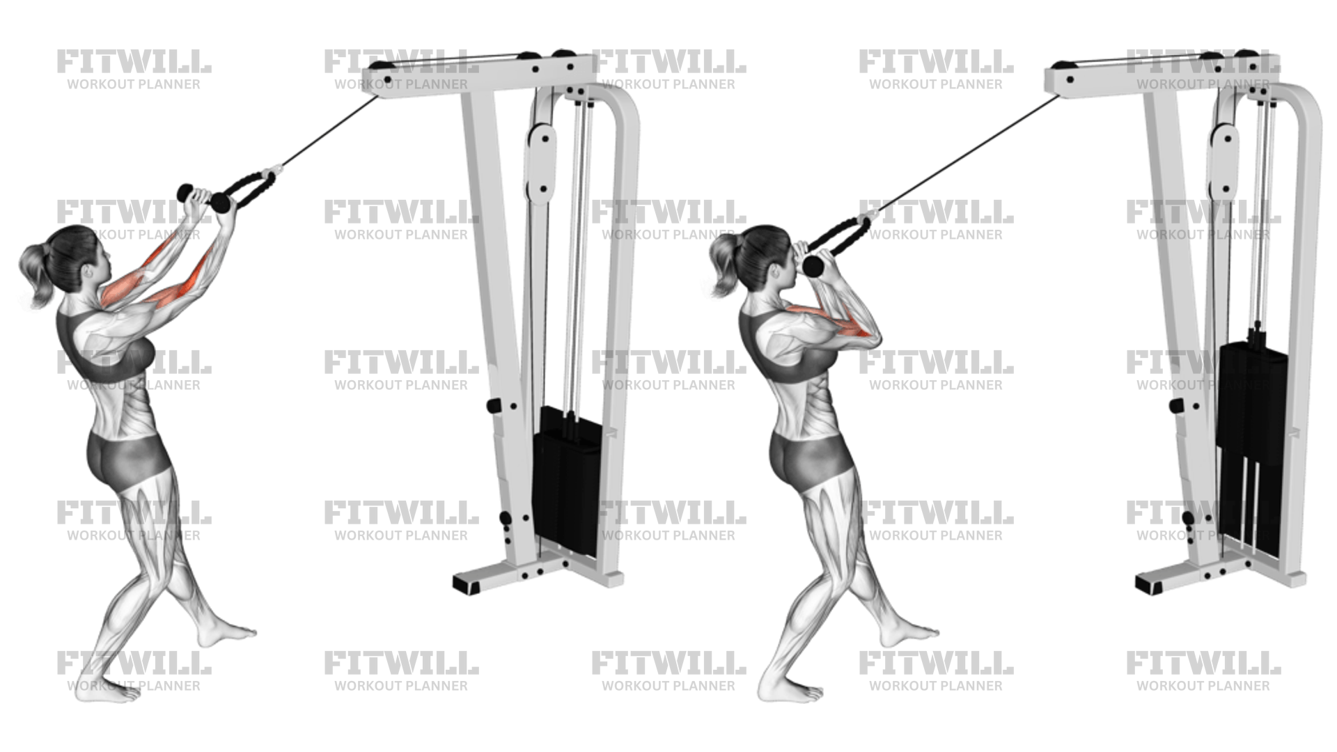 Rosca Direta Com Cabo Em Pé (com Corda): Guia de Exercícios, Técnicas ...