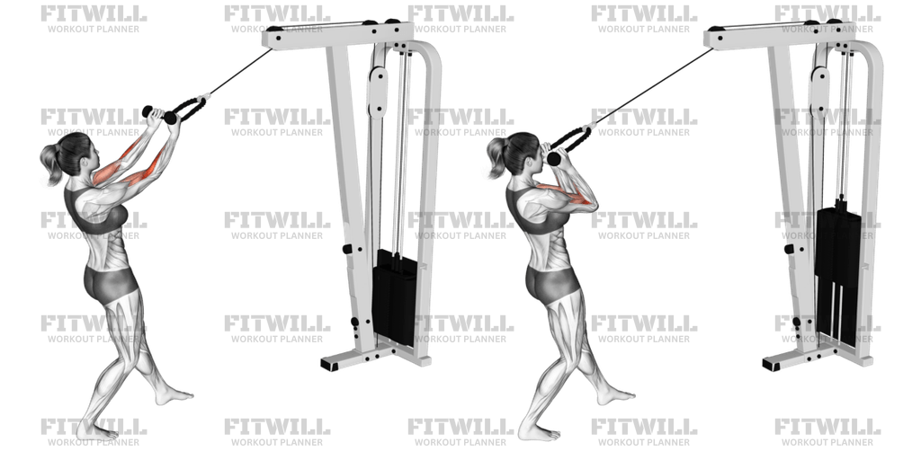 Cable Standing Biceps Curl (with Rope): Exercise Guide, Techniques ...