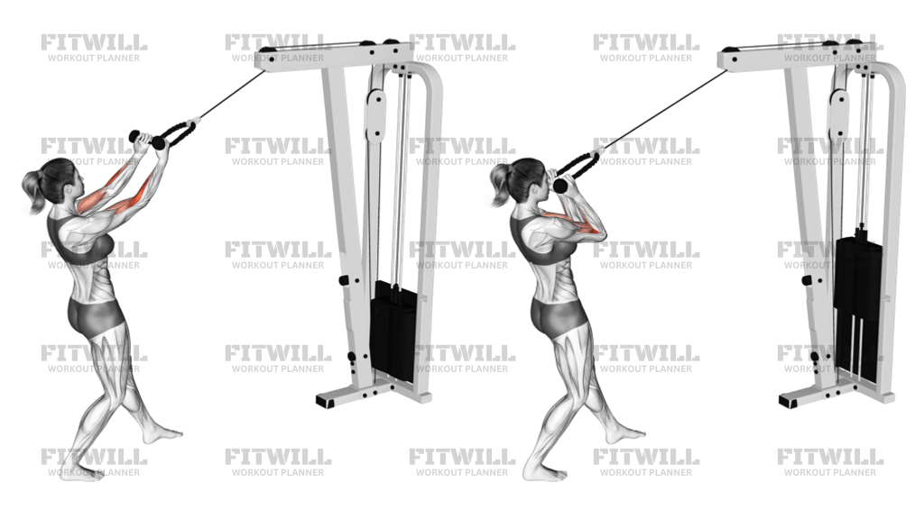 Cable Rope Standing Biceps Curl: Exercise Guide, Techniques, Benefits ...