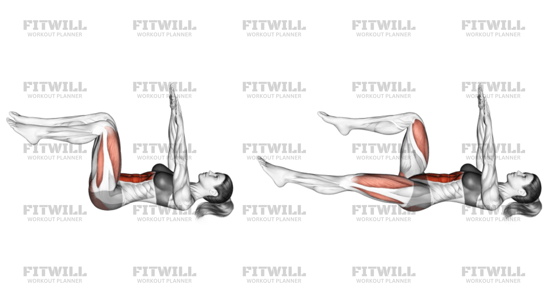 Dead Bug: Exercise Guide, Video, Techniques, Benefits, How to, Muscles ...