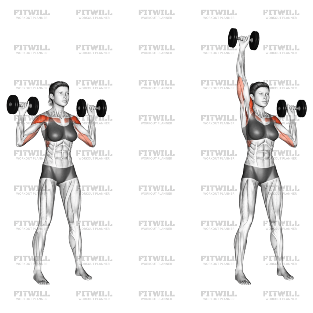 Alternativ Skulderpress Med Manualer: Treningsguide, Video, Teknikk ...