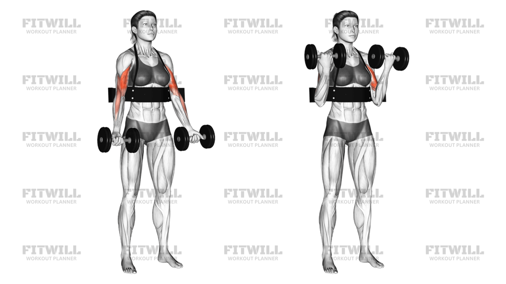 Dumbbell Biceps Curl (with Arm Blaster): Exercise Guide, Techniques ...