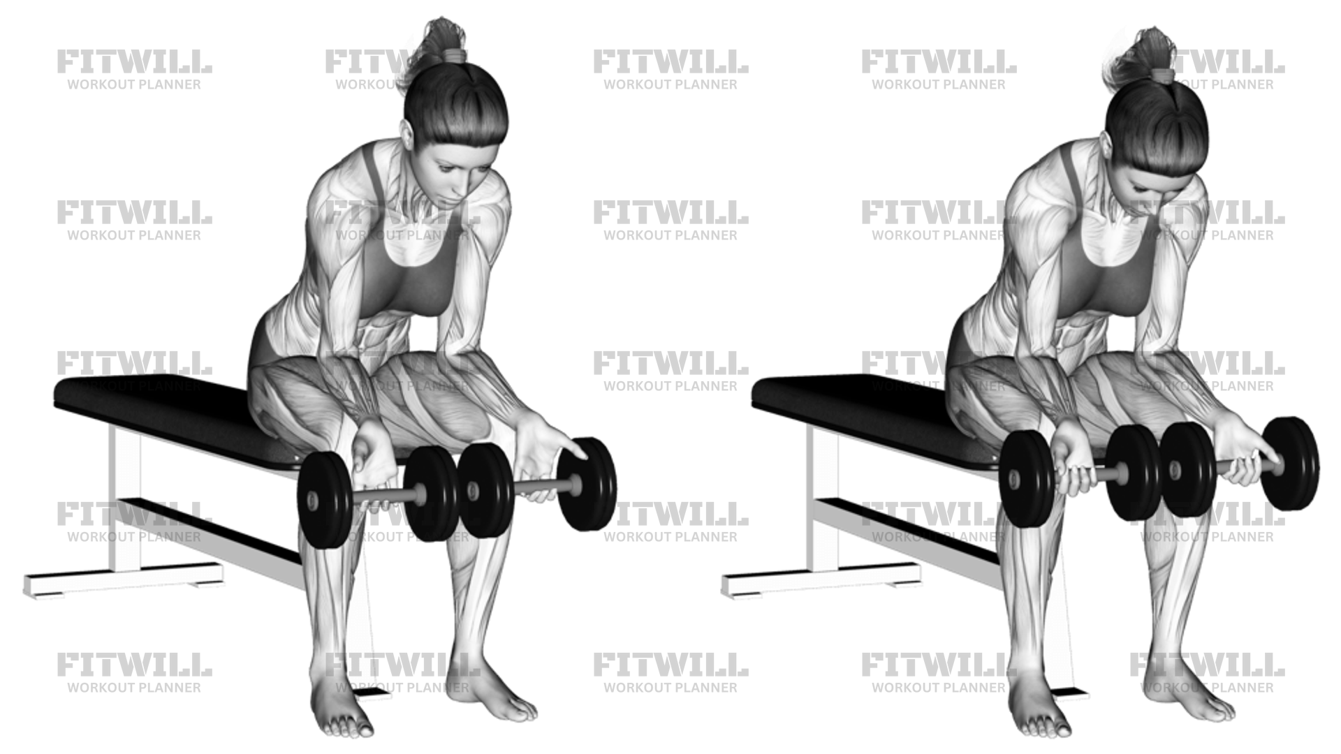 Dumbbell Finger Curls: Exercise Guide, Techniques, Benefits, How to ...
