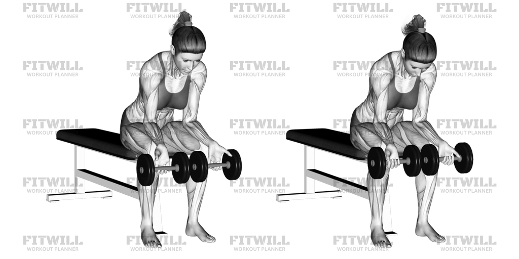 Dumbbell Finger Curls: Exercise Guide, Techniques, Benefits, How to ...