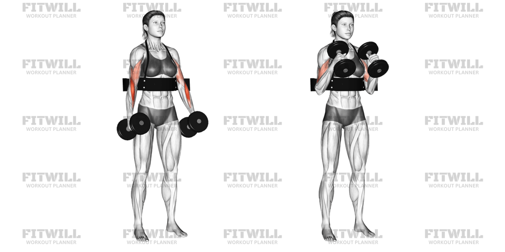Dumbbell Hammer Curls (with Arm Blaster): Exercise Guide, Techniques ...