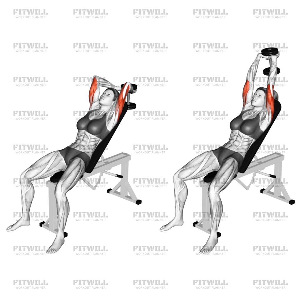 Dumbbell Incline Two Arm Extension Exercise Guide Techniques