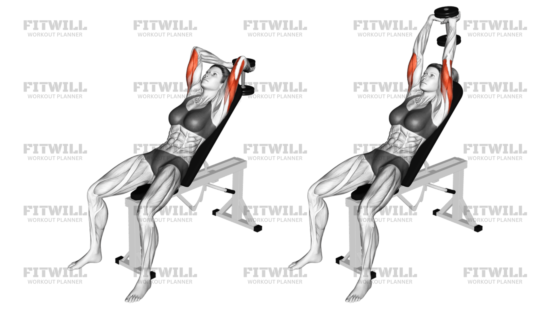 Dumbbell Incline Two Arm Extension: Exercise Guide, Techniques ...