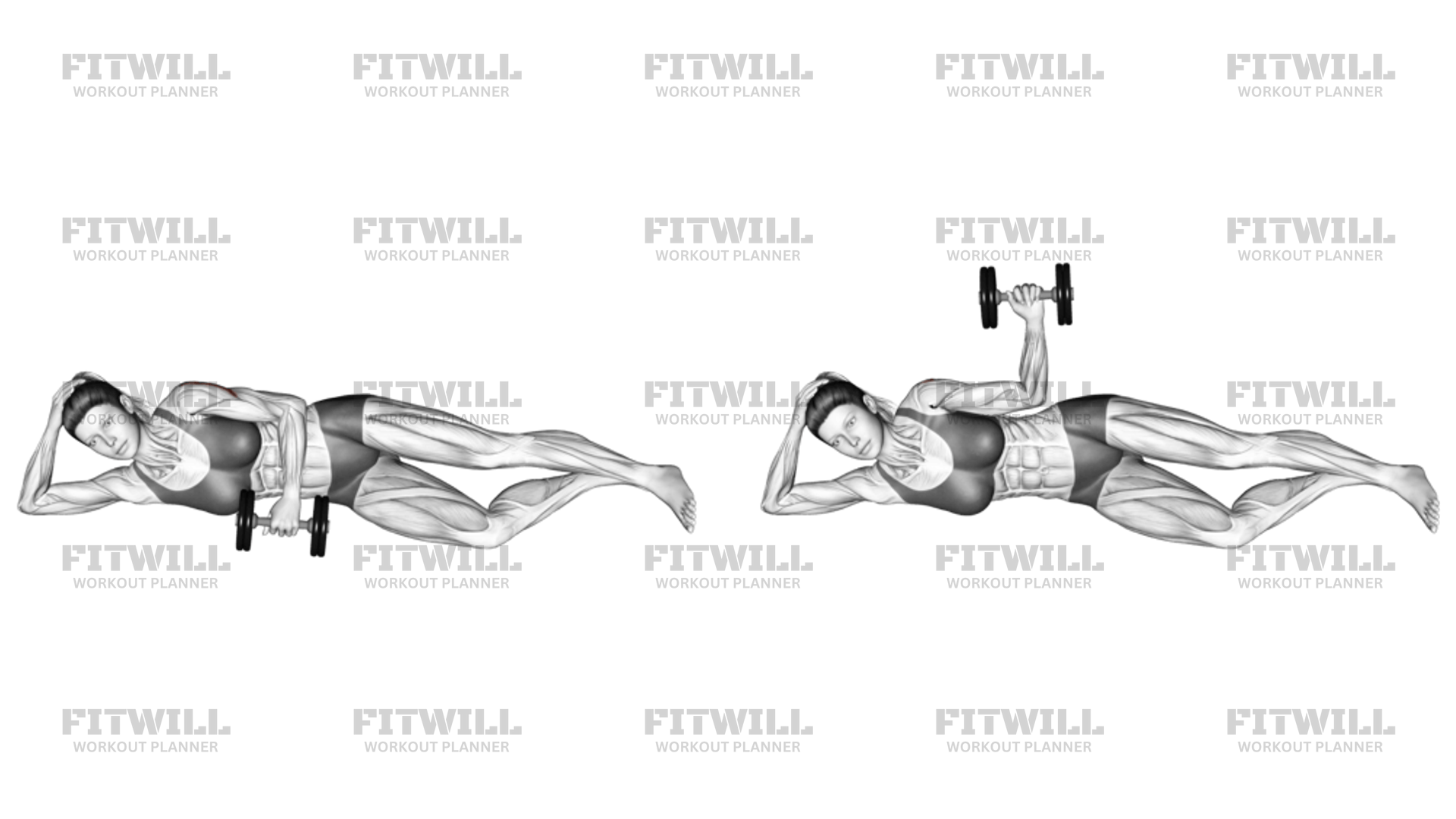 Dumbbell Lying External Shoulder Rotation: Exercise Guide, Techniques ...