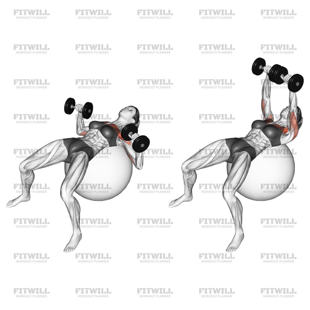 Dumbbell Press On Exercise Ball: Exercise Guide, Techniques, Benefits ...