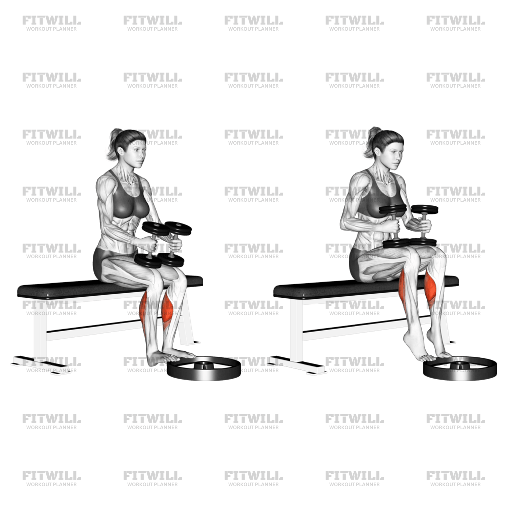 Dumbbell Seated Calf Raise: Exercise Guide, Video, Techniques, Benefits ...