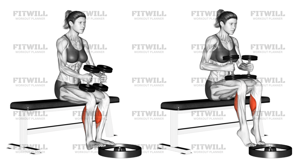 Dumbbell Seated Calf Raise: Exercise Guide, Video, Techniques, Benefits ...