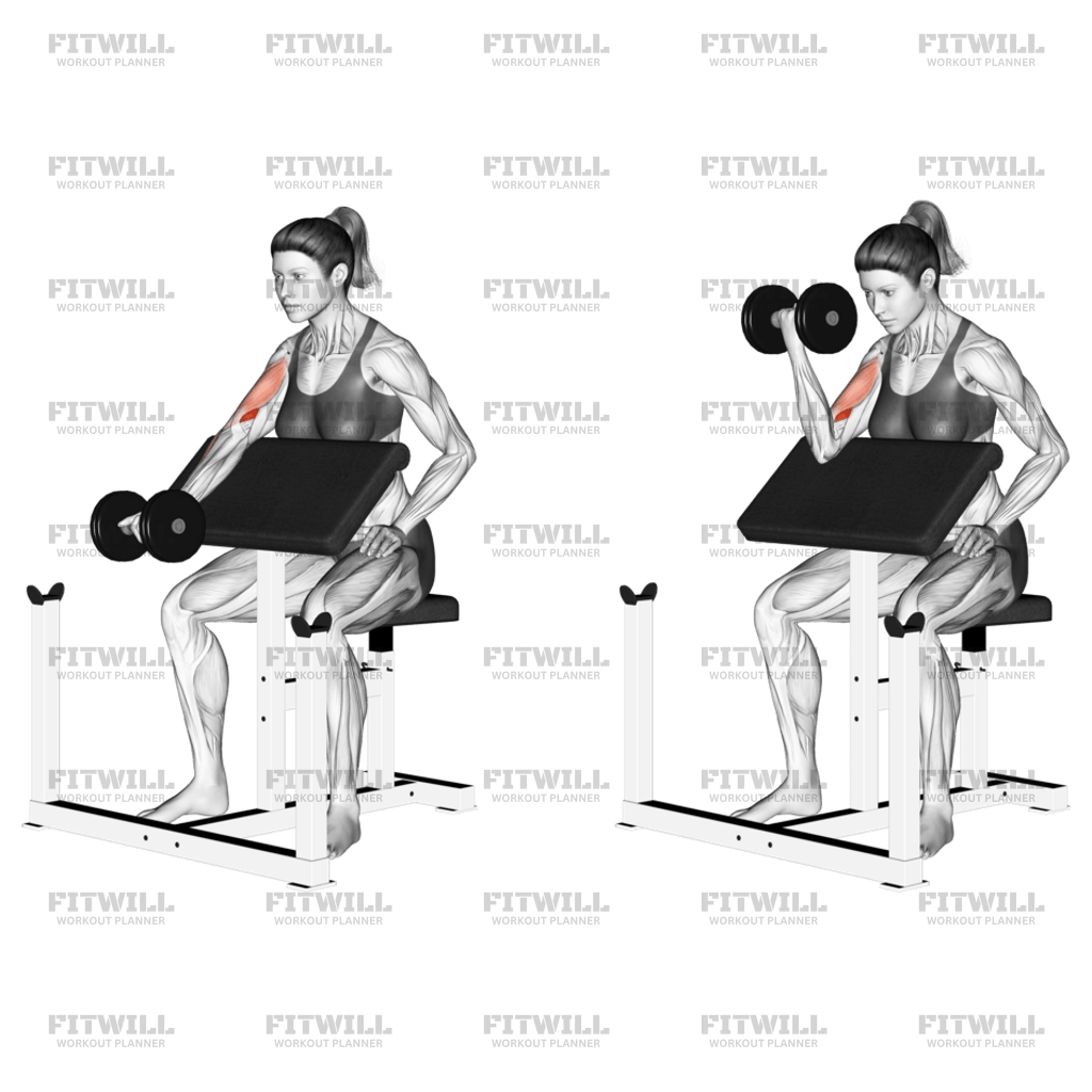 Dumbbell Single Arm Preacher Curl: Exercise Guide, Video, Techniques ...