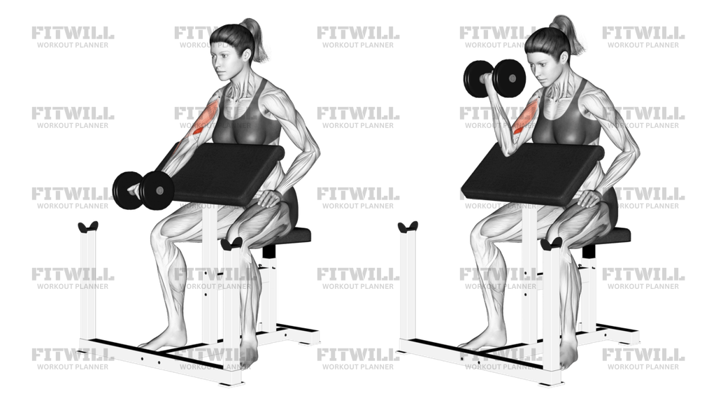 Dumbbell Single Arm Preacher Curl: Exercise Guide, Video, Techniques ...