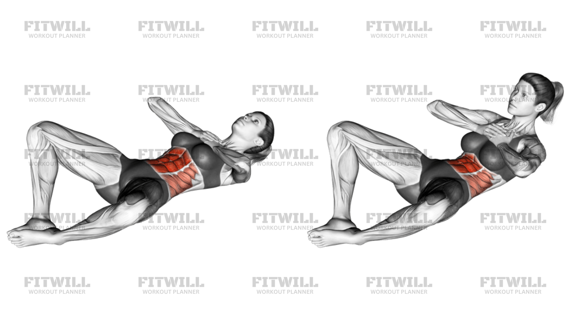 Groin Crunch: Exercise Guide, Techniques, Benefits, How to, Muscles ...