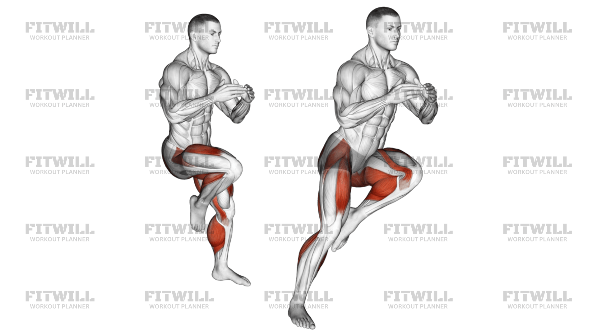 Lateral Bound: Exercise Guide, Techniques, Benefits, How to, Muscles ...