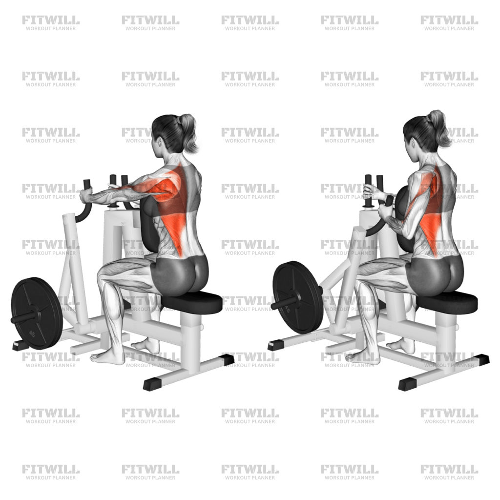 Lever Alternating Narrow Grip Seated Row (plate Loaded): Exercise Guide ...