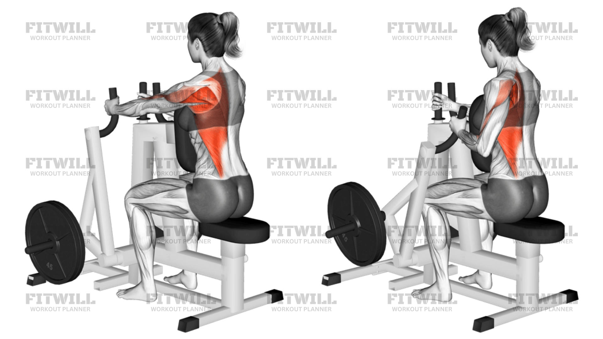 Lever Alternating Narrow Grip Seated Row (plate loaded): Guide ...