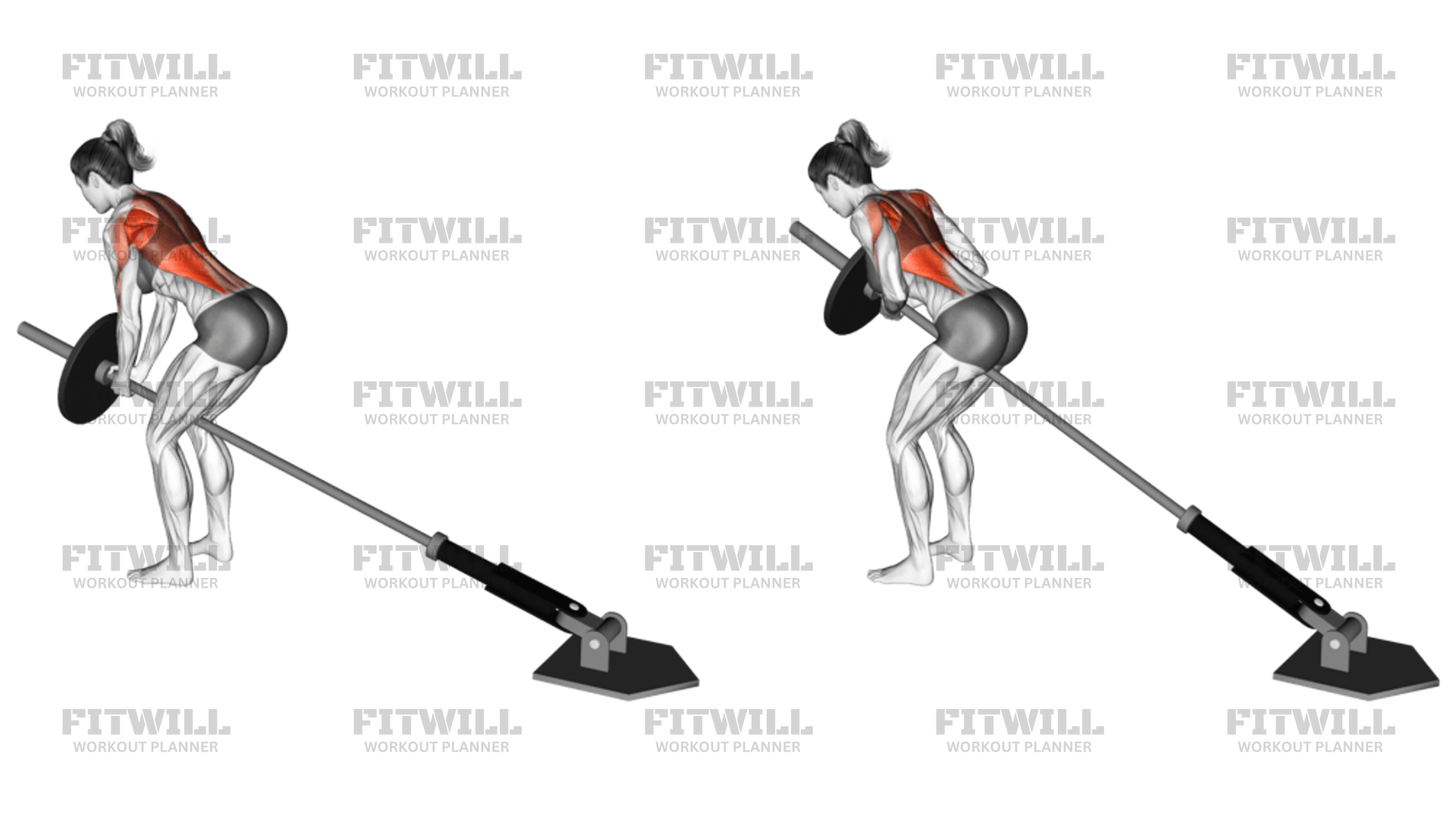 Lever Bent Over Row (plate Loaded): Exercise Guide, Video, Techniques ...