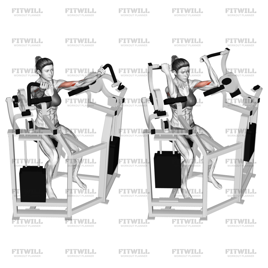 Lever Bicep Curl: Exercise Guide, Techniques, Benefits, How to, Muscles ...