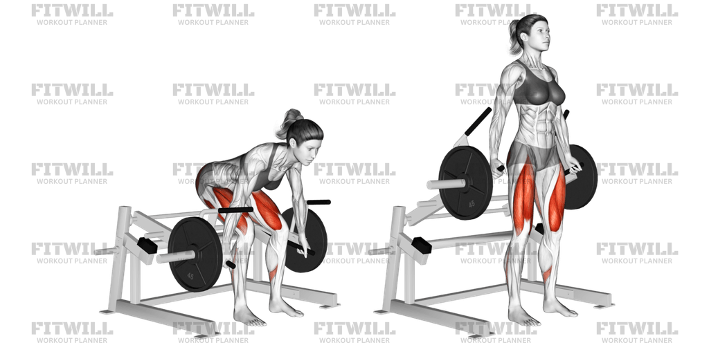 Lever Deadlift (plate Loaded): Exercise Guide, Techniques, Benefits ...