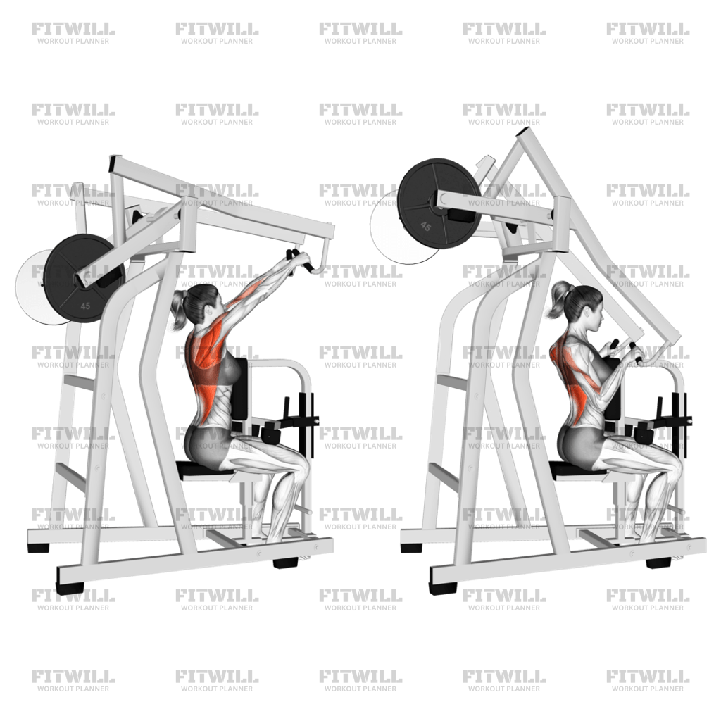 Lever High Row (plate Loaded): Exercise Guide, Video, Techniques ...