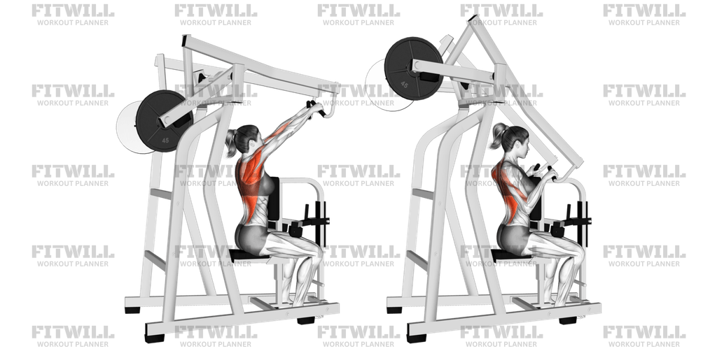 Lever High Row (plate Loaded): Exercise Guide, Video, Techniques ...