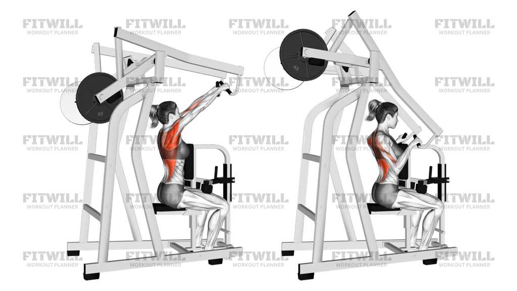 Lever High Row (plate Loaded): Exercise Guide, Video, Techniques ...