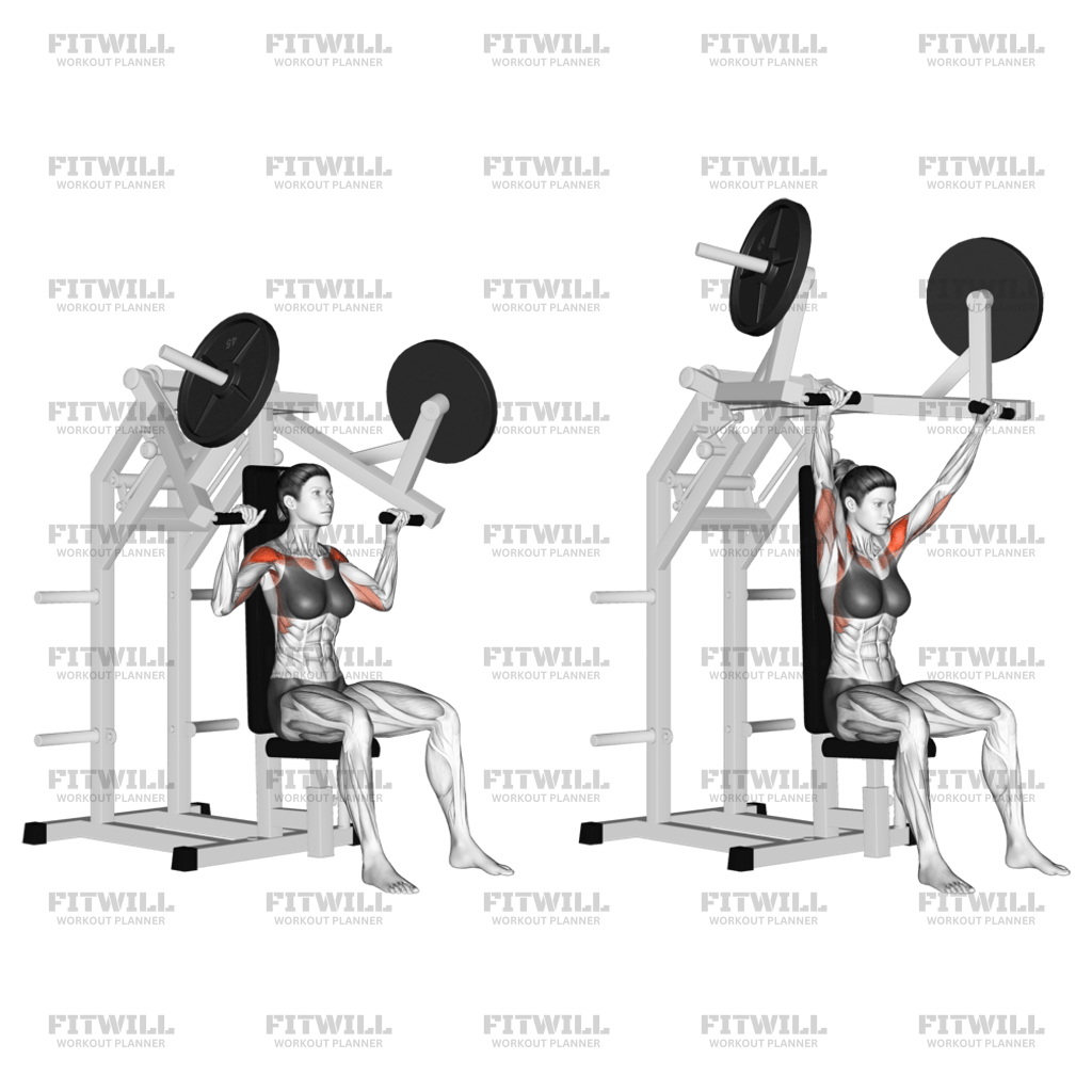 Lever Military Press (plate Loaded): Exercise Video | Fitwill