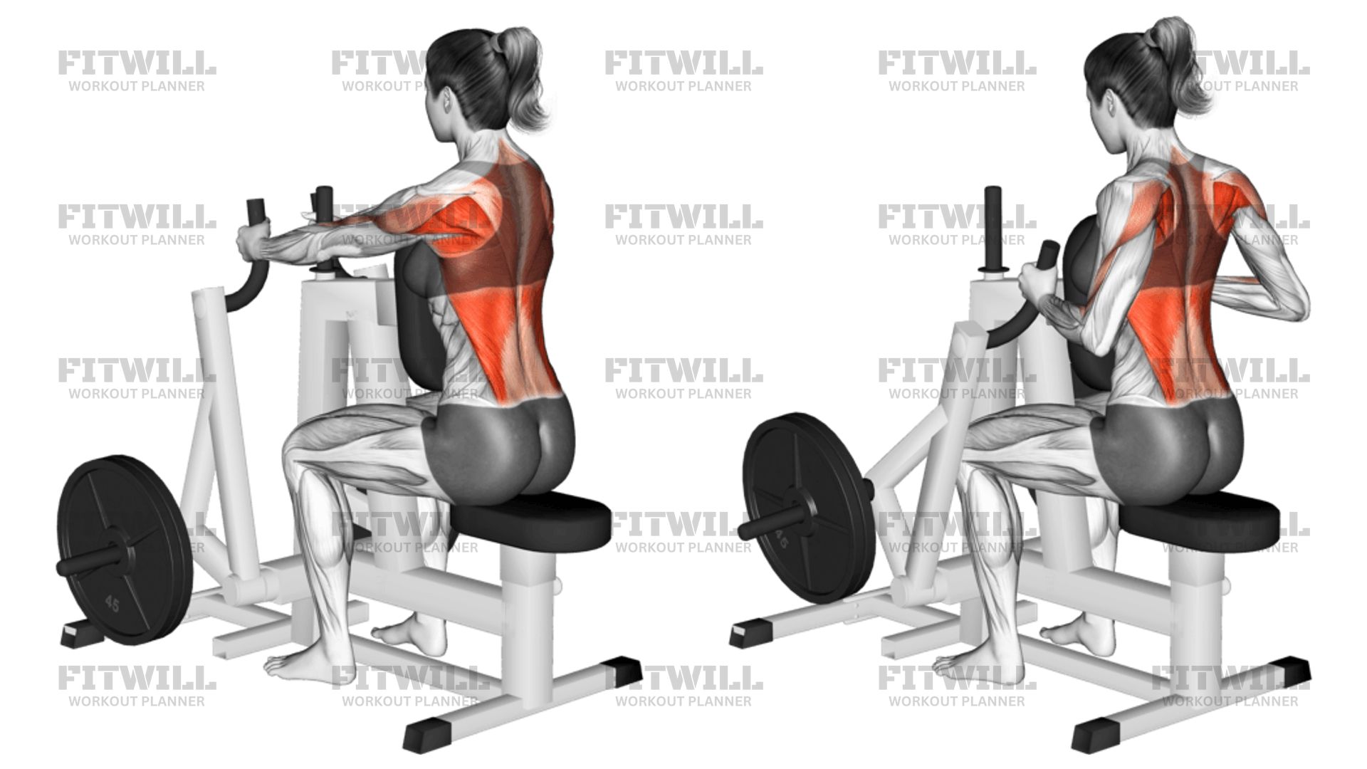Lever Narrow Grip Seated Row (plate Loaded): Exercise Guide, Techniques ...
