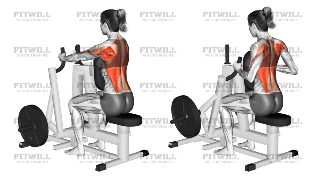 Lever Narrow Grip Seated Row (plate Loaded): Exercise Guide, Techniques ...