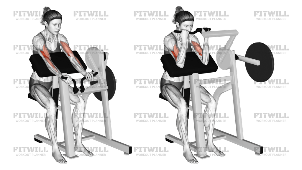 Rosca Scott Em Alavanca (com Placas De Peso): Guia de Exercícios ...